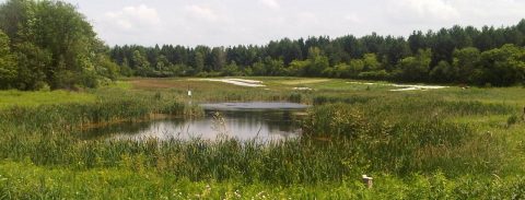 Wetland Water Balance Modelling Guidance and its Implementation in a ...